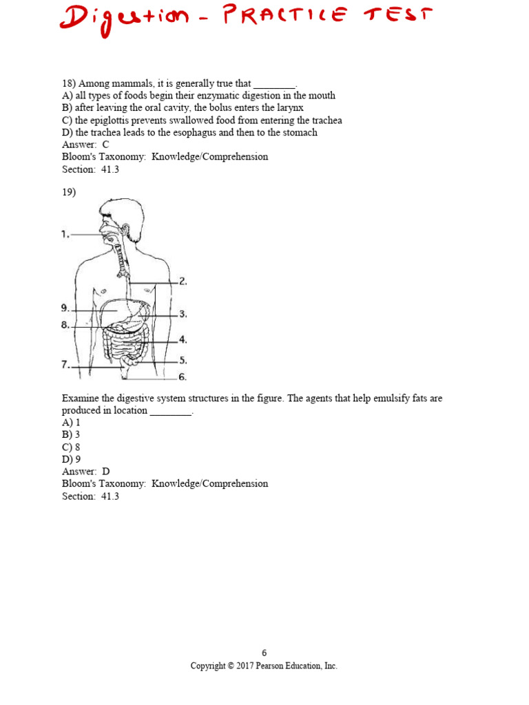 Digestion Practice Que | PDF | Digestion | Stomach