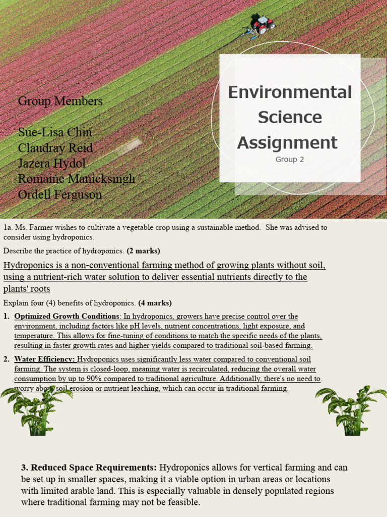 Envi Sci Assignment 1 | PDF | Hydroponics | Agriculture