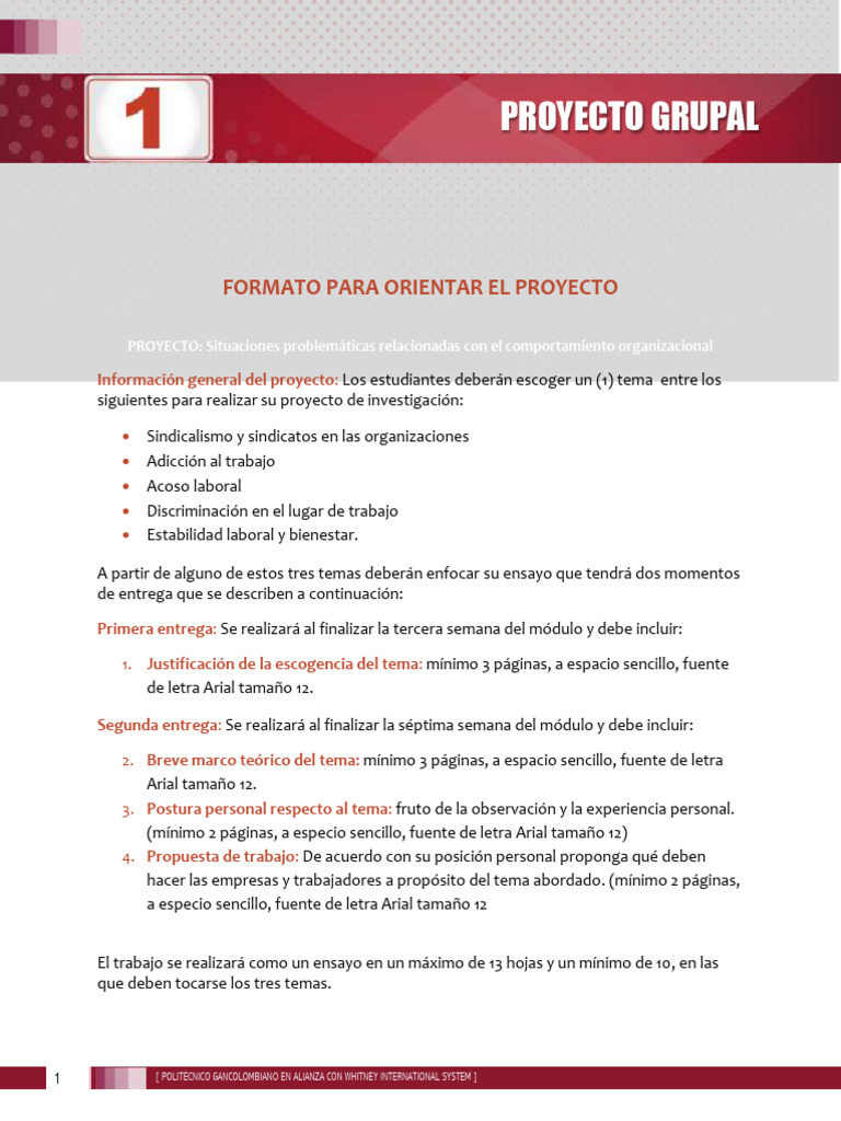 Proyecto Grupal | PDF