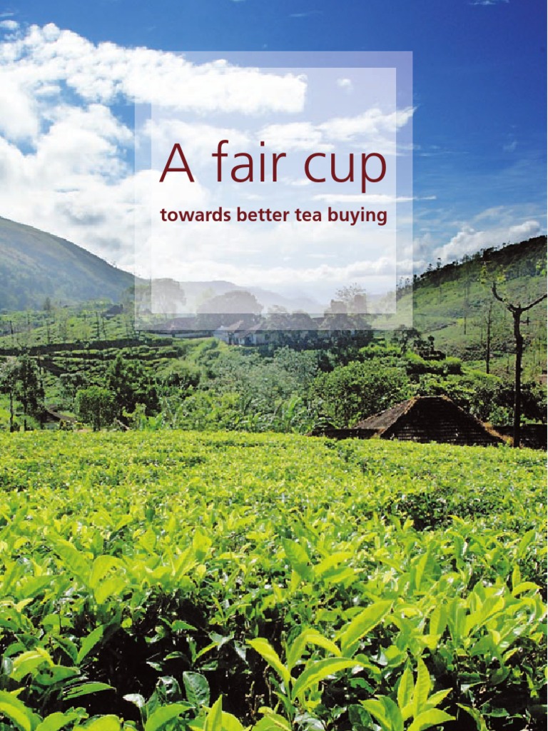 A Fair Cup | PDF | Supply Chain | Tea
