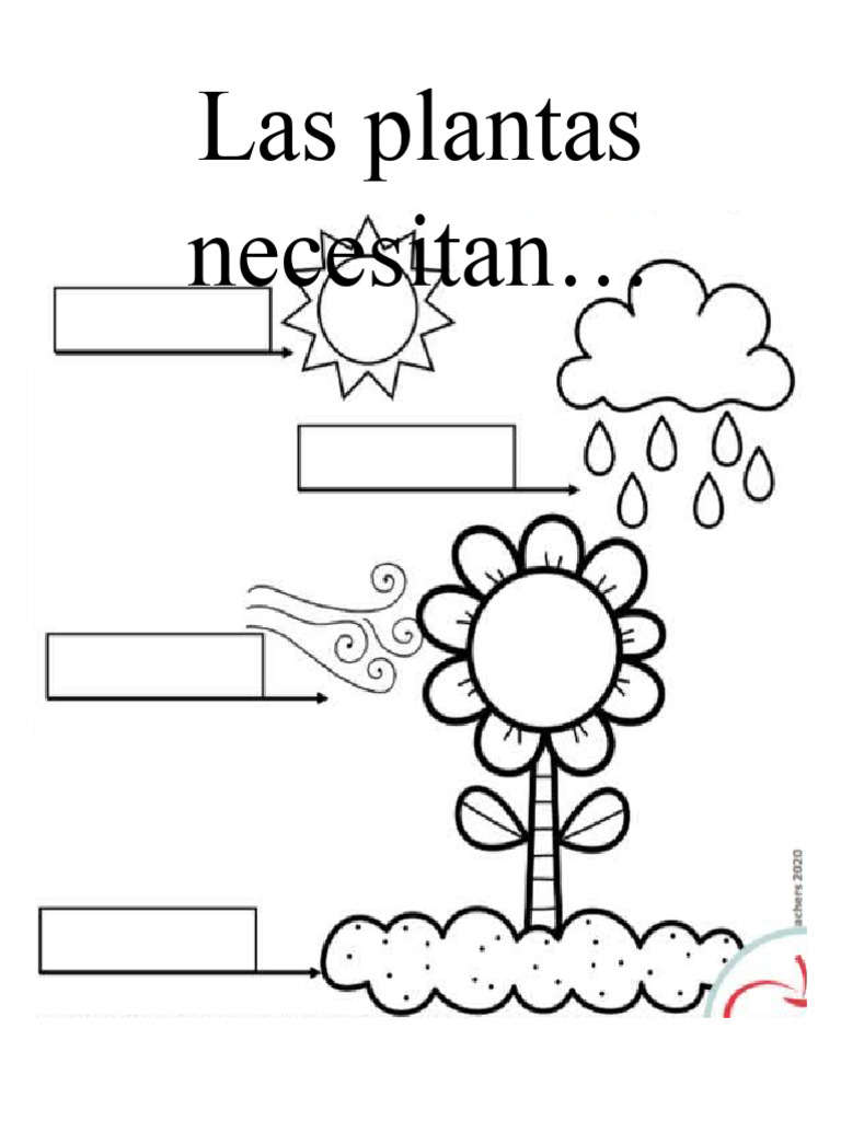 Que Necesitan Las Plantas | PDF