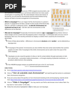 Diploid and Haploid Worksheet Answer Key | PDF | Ploidy | Cell Biology