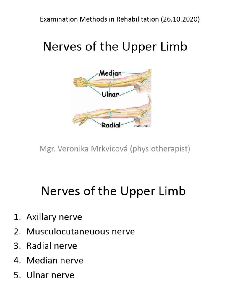MMT 4 Nerves of The Upper Limb | PDF | Thumb | Hand