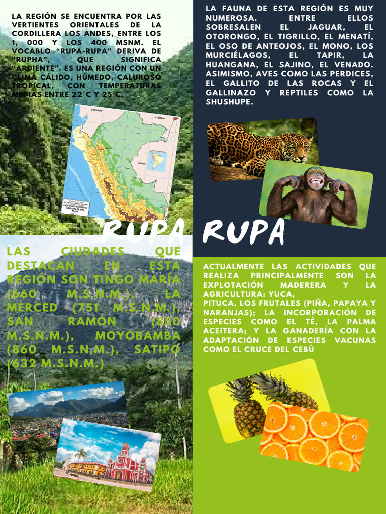 Afiche Rupa Rupa | PDF | Ciencias sociales | Historia