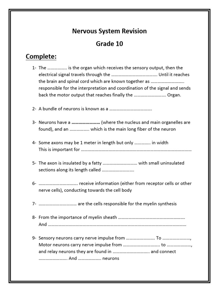 Nervous System Revision | PDF | Neuron | Axon