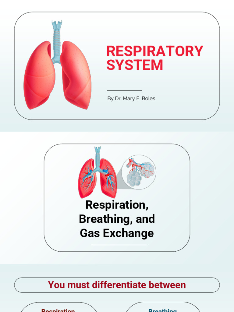 Respiratory System Grade 9 | Download Free PDF | Lung | Respiratory Tract