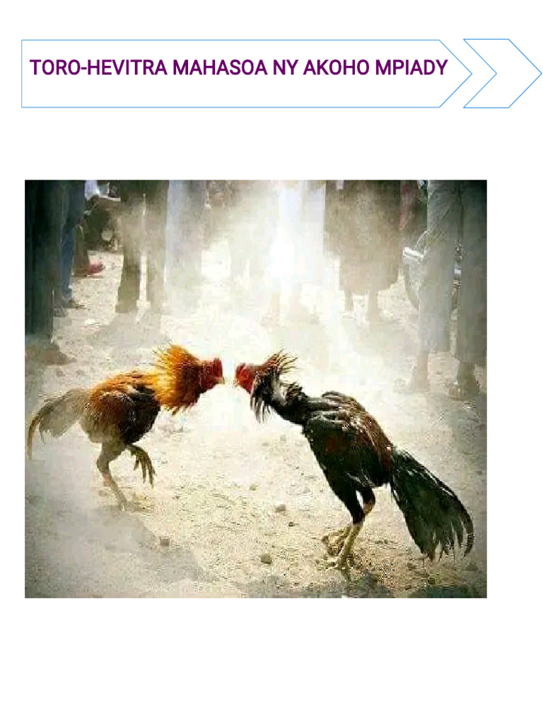 Akoho Mpiady Technique | PDF