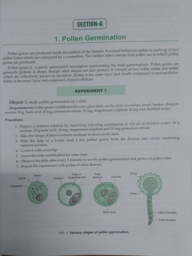 Biology Practical 1 Class 12 | PDF