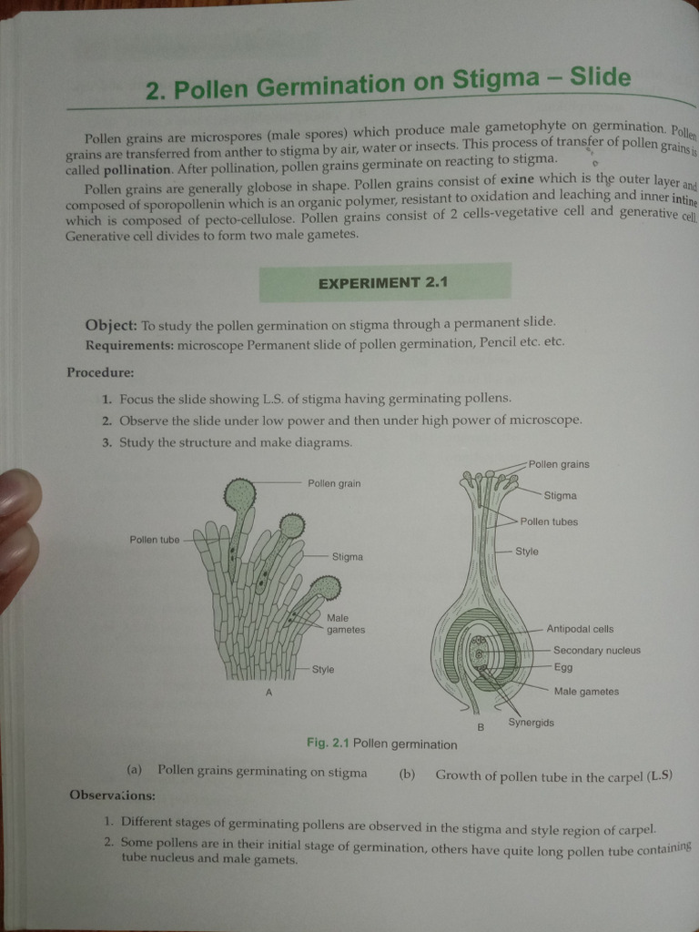 Biology Practical 5 Class 12 | PDF