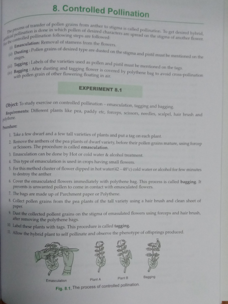 biology practical 9 class 12 | PDF biology practical 9 class 12 | PDF