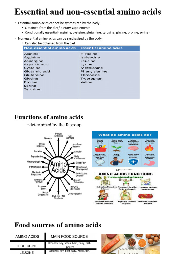Essential vs. Non-Essential Amino Acids | PDF