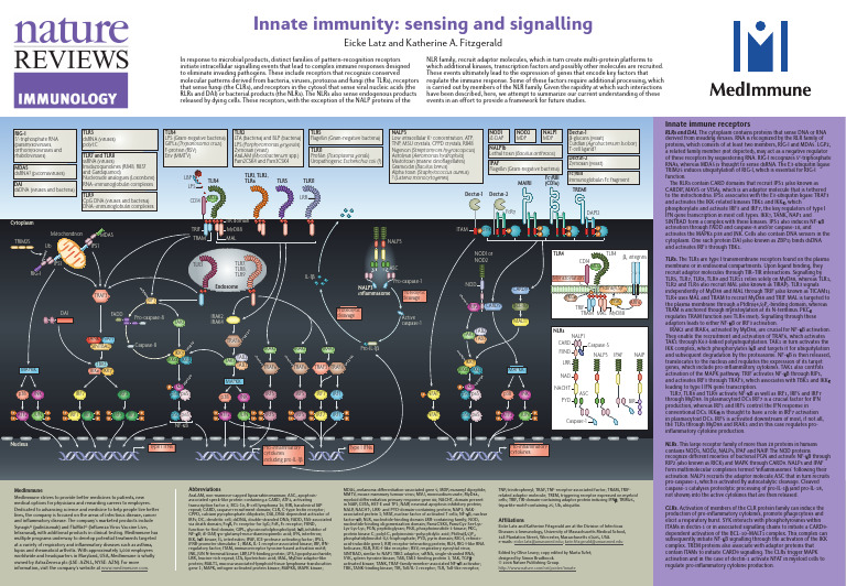 Innate Immunity Sensing and Signalling 08 | PDF | Toll Like Receptor ...