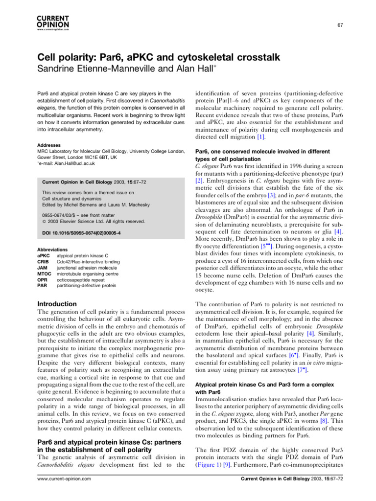 Cell Polarity Par6 aPKC 03 | PDF | Microtubule | Cell Biology