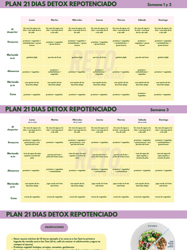 PLAN 21 DIAS DETOX REPOTENCIADO | PDF | Vegetales | Fruta