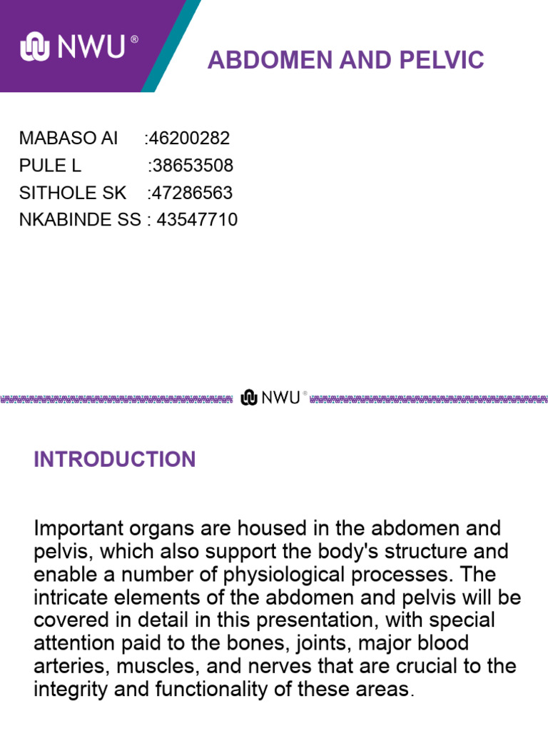abdomen presentation-1 | PDF | Pelvis | Abdomen