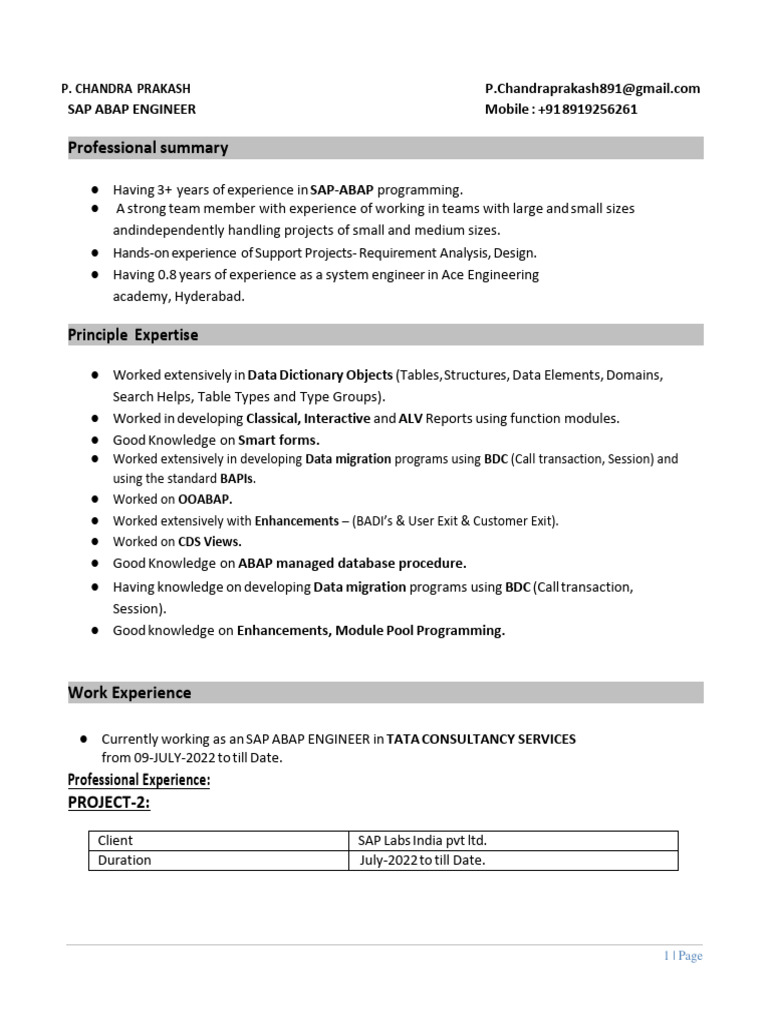 Chandra Prakash CV | PDF | Customer Relationship Management | Information Technology