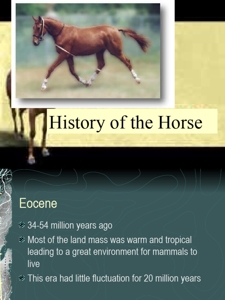 Horse Evolution 1 1 Pdf Horses Tooth