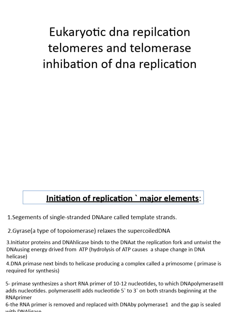 Dna Replication | PDF | Dna Replication | Dna