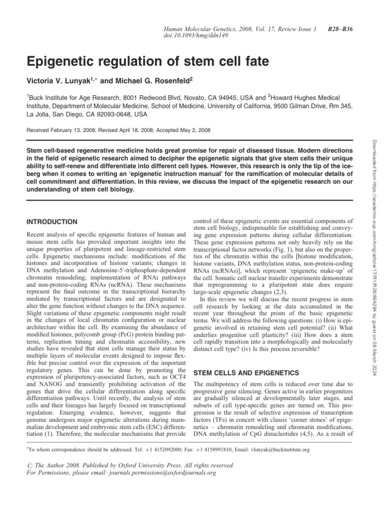 Epigenetic Regulation of Stem Cell Fate | PDF | Epigenetics | Cellular ...