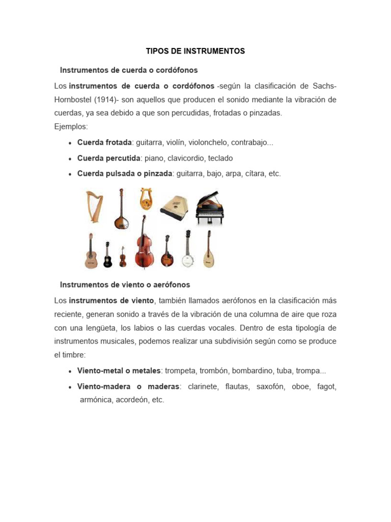 Tipos de Instrumentos | PDF