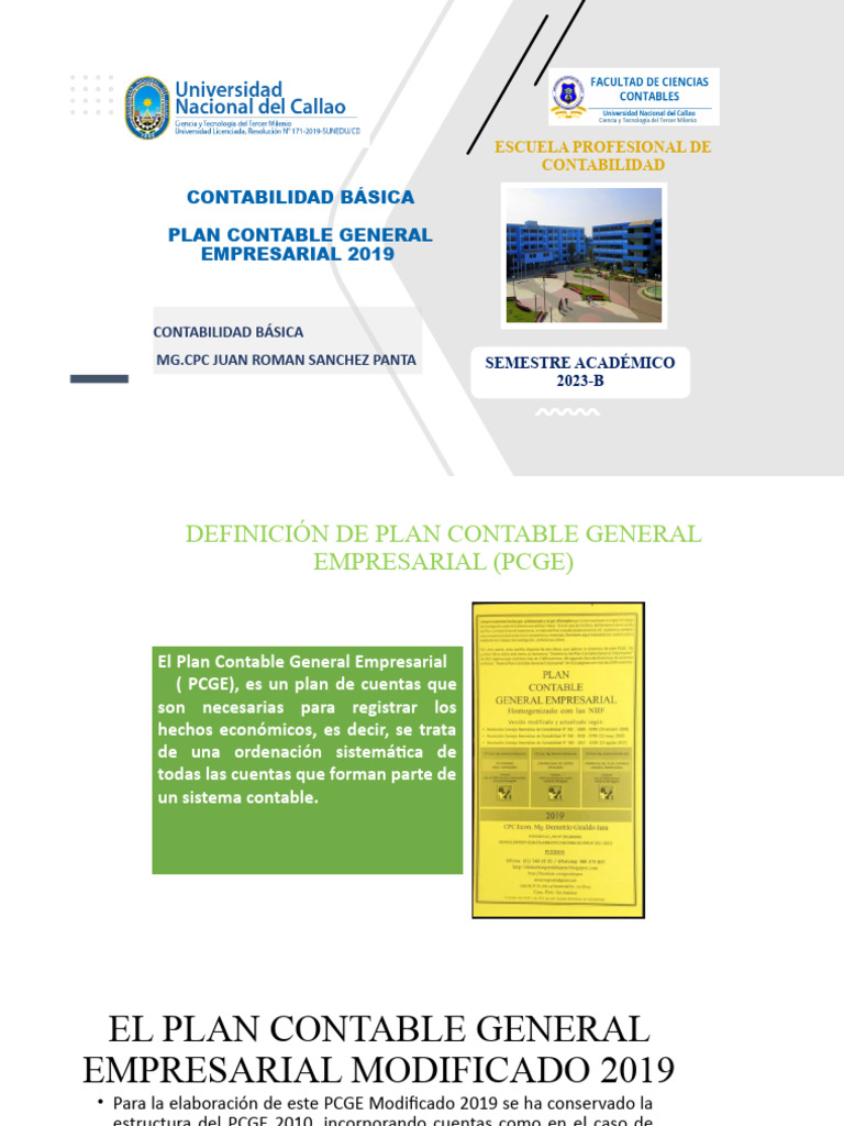 Plan Contable Amarillo 2019 | PDF | Contabilidad | Inversiones