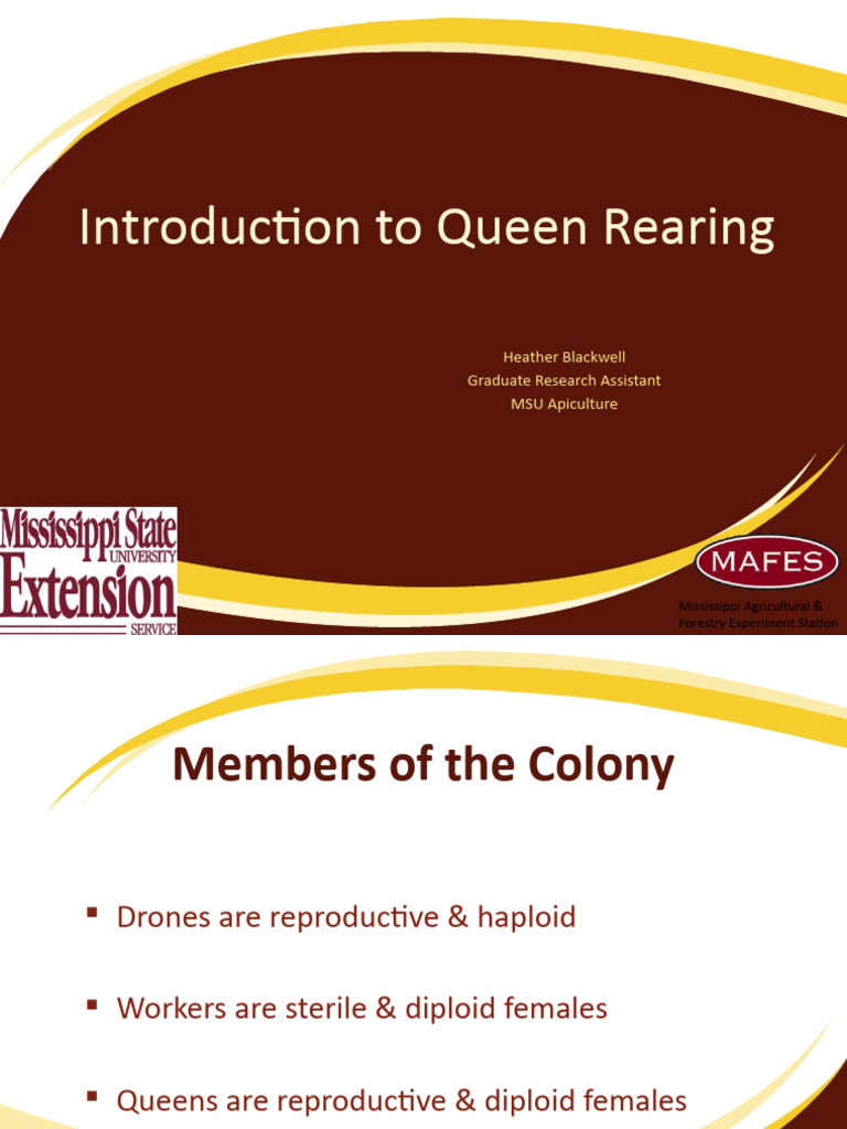Introduction To Queen Rearing | PDF | Bees | Beekeeping