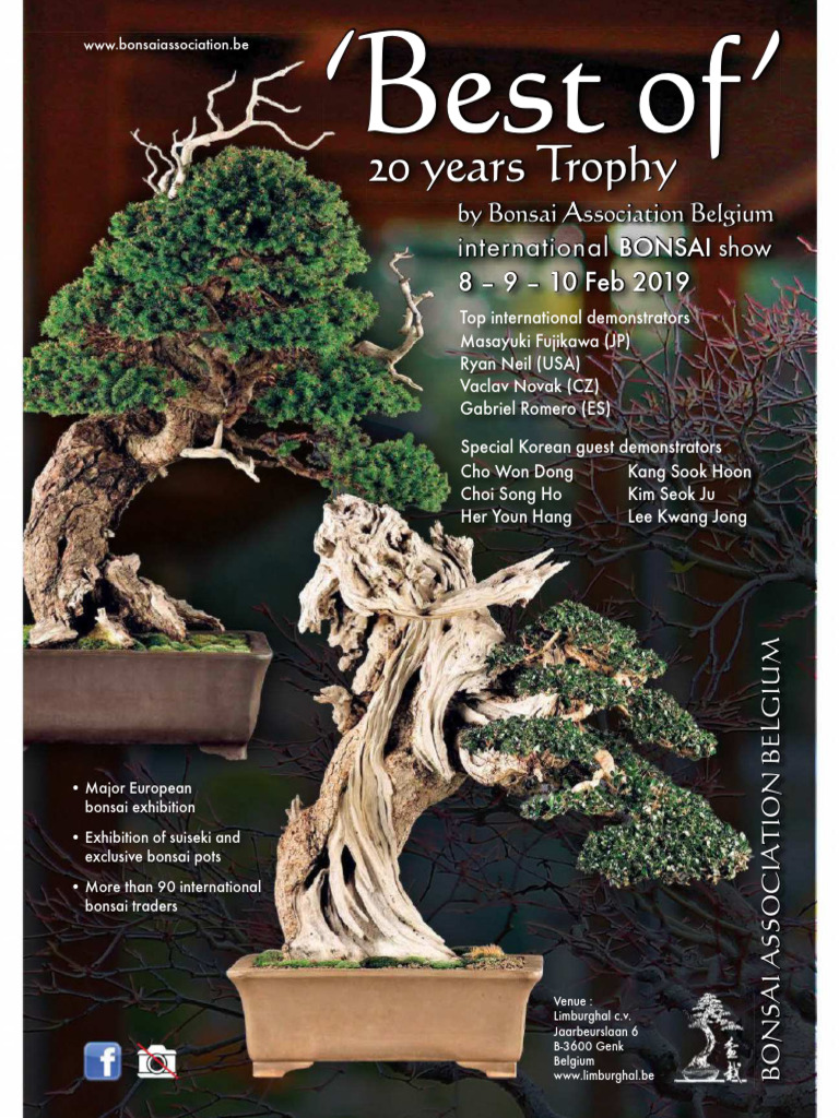 Esprit Bonsai December-January 2019 | PDF | Bonsai | Botany