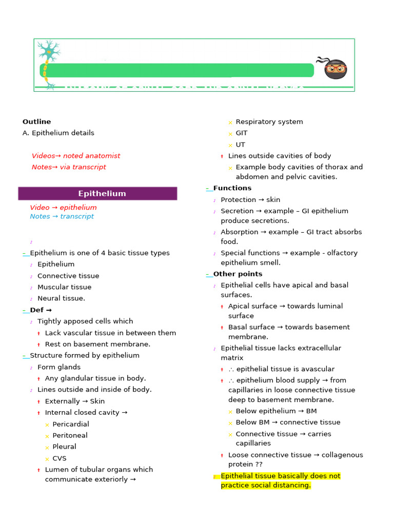 Epithelial Tissue Overview and Mnemonics | PDF | Epithelium | Biology