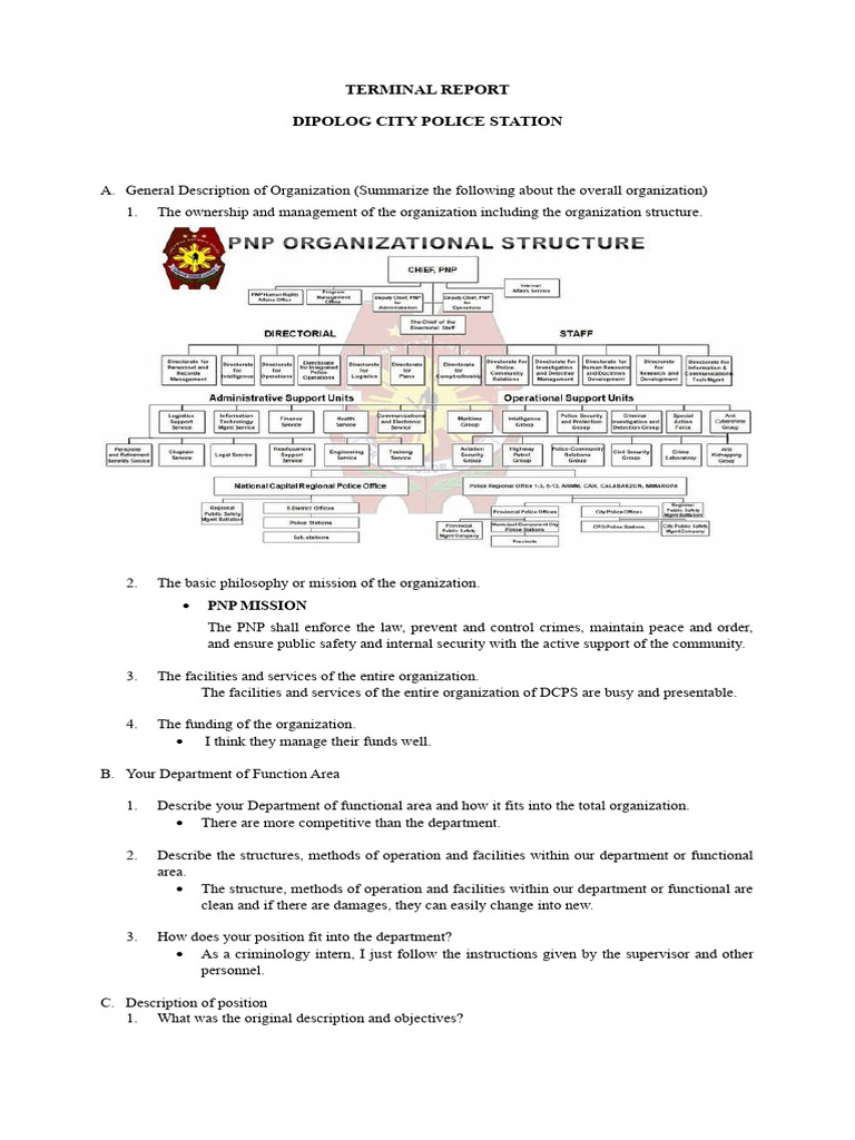 Terminal Report DCPS | Download Free PDF | Internship | Job Hunting