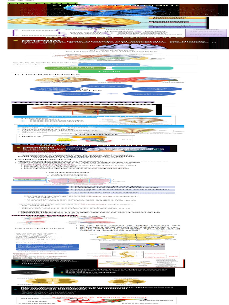 Segundo Mapa | PDF