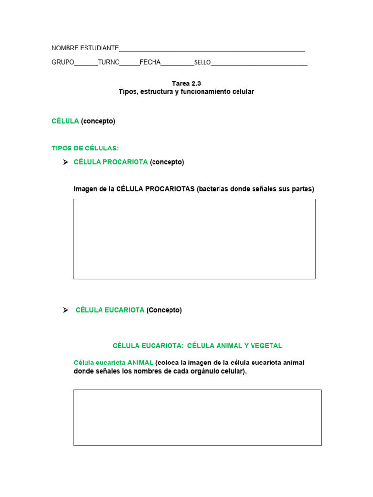 Formato (Tabla Descriptiva) Estructura y Función Celular | PDF ...