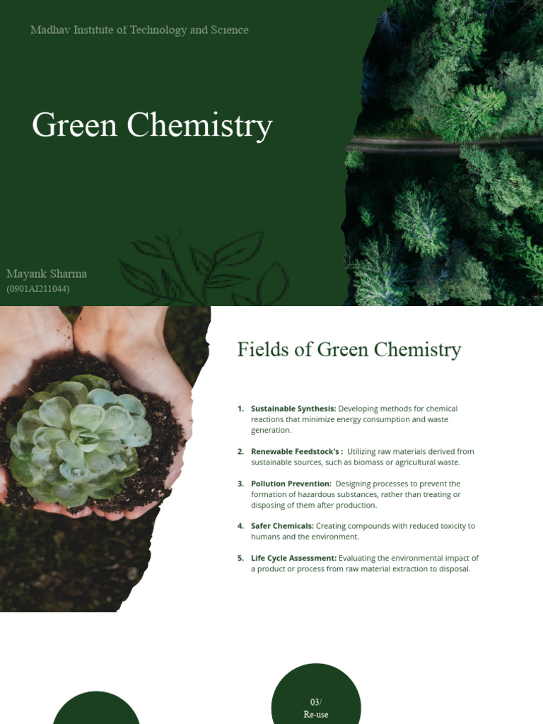 Green and White Sustainability Modern Presentation | PDF | Green ...