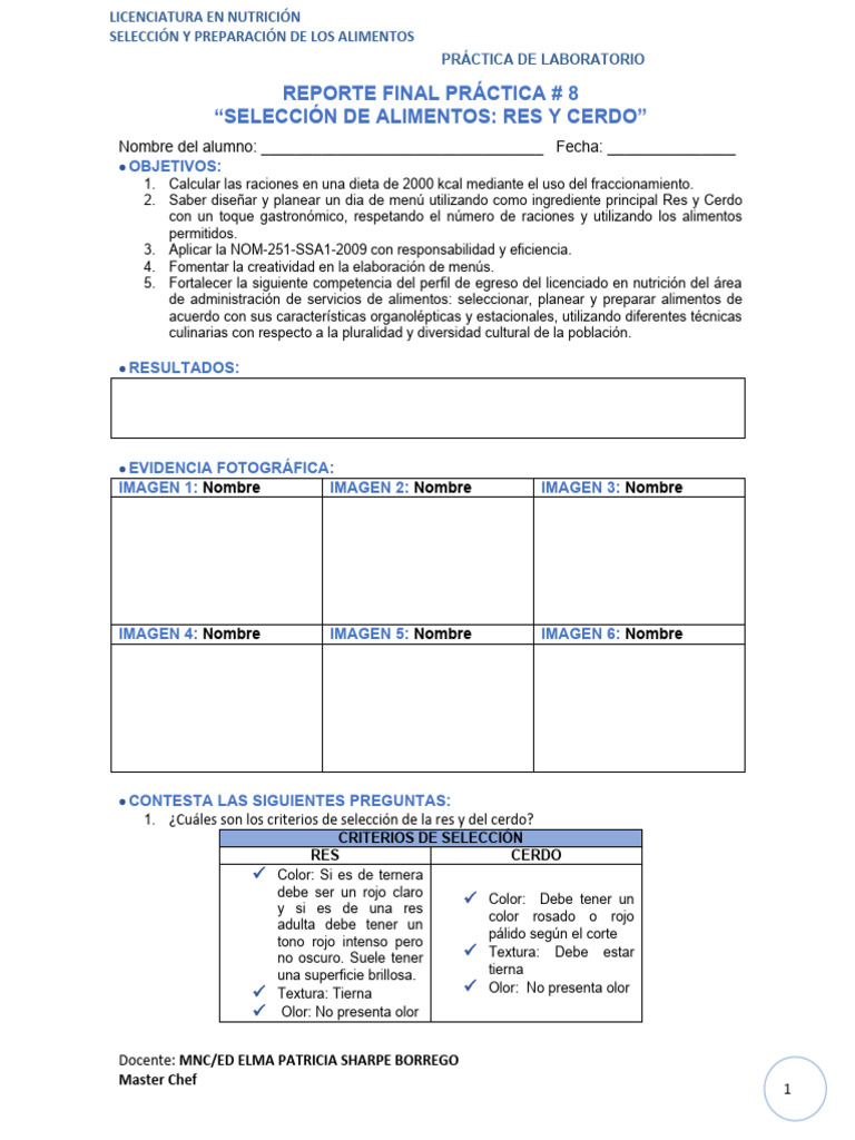 Formato Reporte Final P8 | PDF | Carne | Alimentos