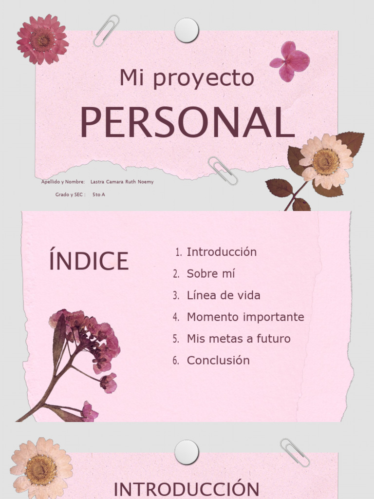 Proyecto de Vida de Ruth Lastra | PDF