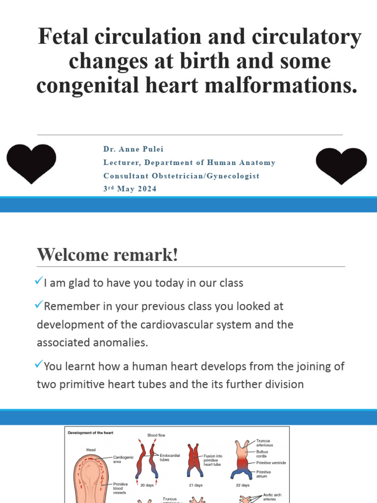 Fetal Circulation and Circulatory Changes at Birth - Pulei - 2024-05-03 ...