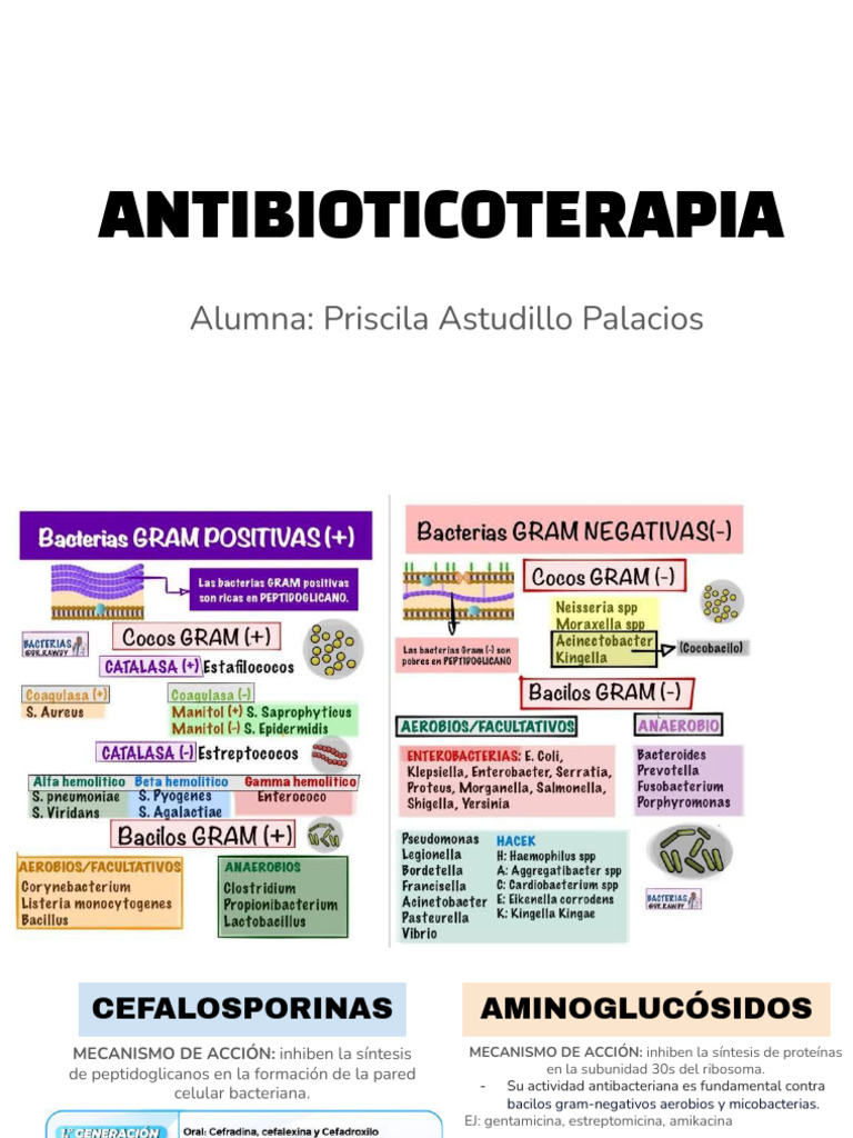 ANTIBIOTICOTERAPIA | Descargar gratis PDF | Staphylococcus Aureus ...