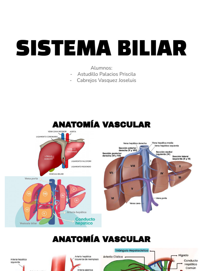 Evaluación y Tratamiento de Enfermedades Biliares | PDF | Bilis ...