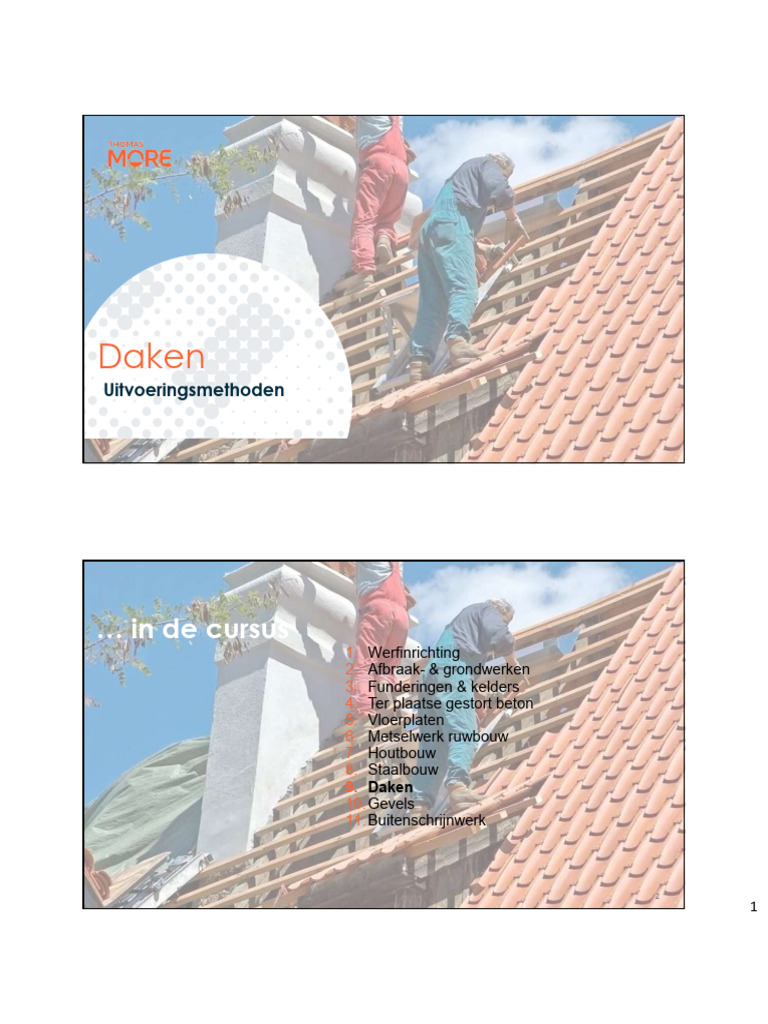 (PRESENTATIE) 9 - Daken | PDF