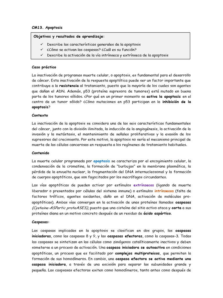 CM13. Apoptosis | PDF | Caspasa | Apoptosis