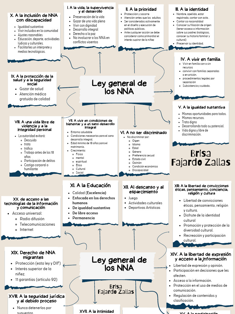 Mapa Ley Gral para Los NNA | PDF | Libertad de expresión | Invalidez