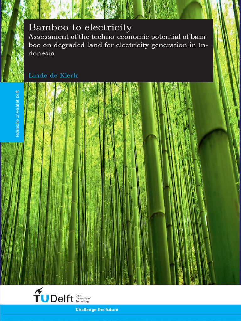 Bamboo To Electricity | PDF | Biofuel | Bioenergy