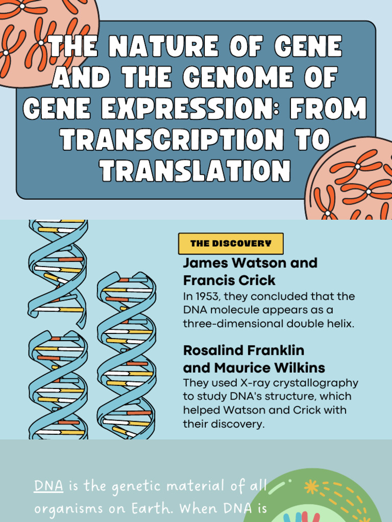Genetic Mutations Science Presentation in Blue Orange Flat Graphic ...