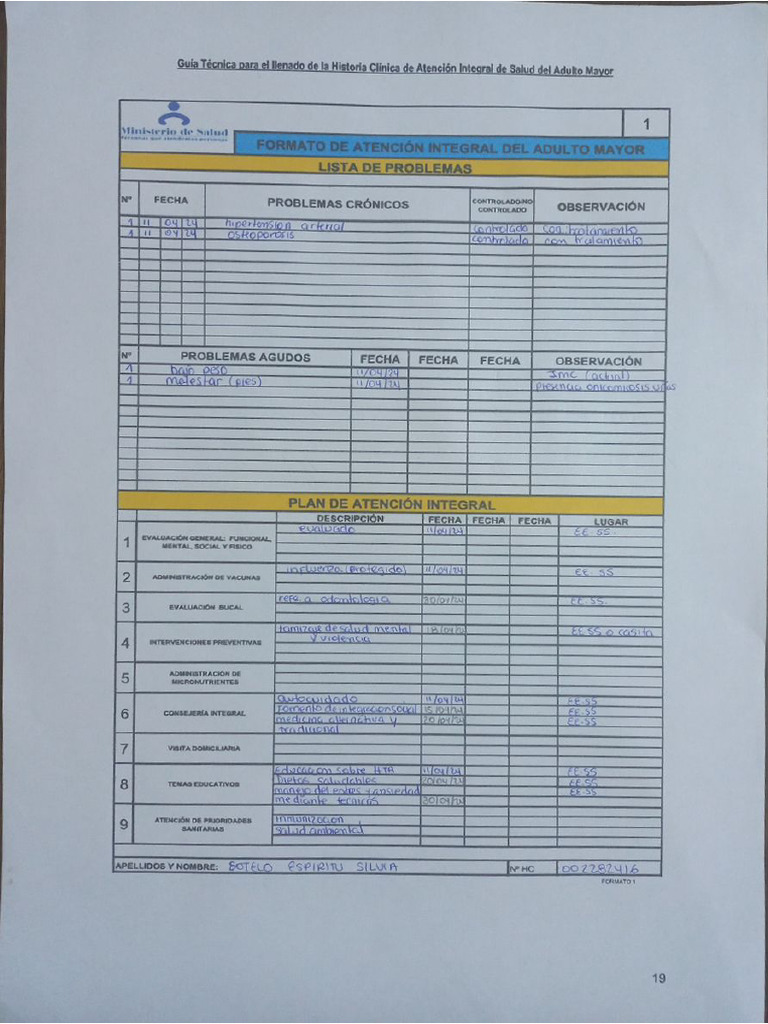 VACAM-SILVIA TORIBIO Organized | PDF