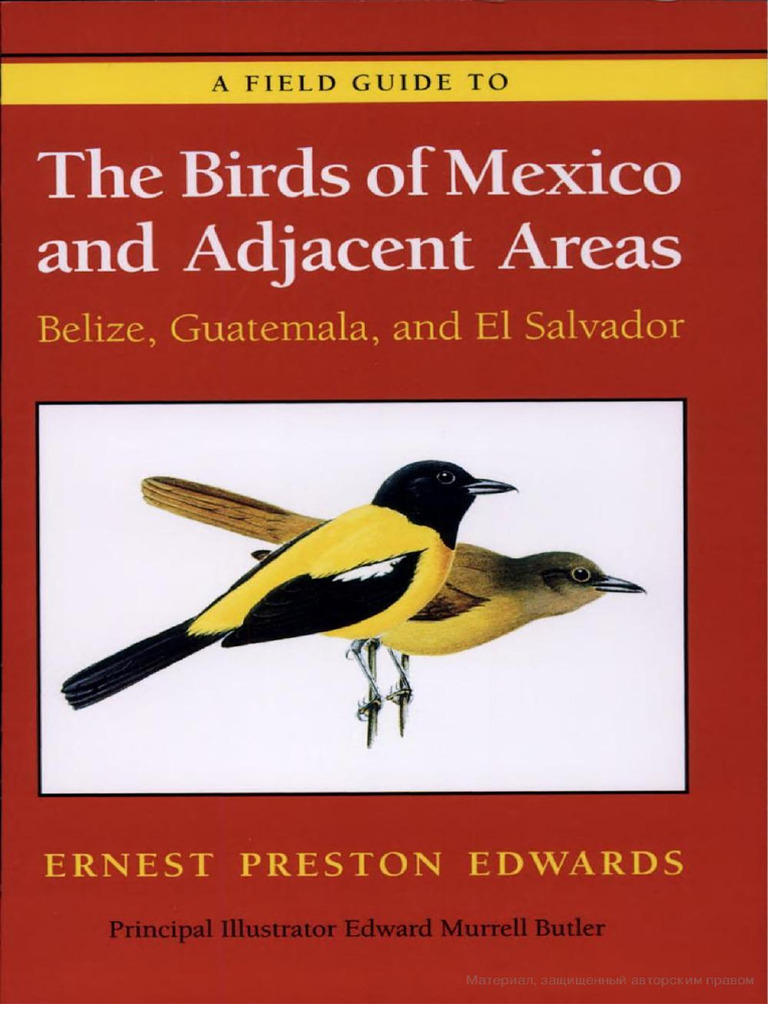 A Field Guide To The Birds of Mexico 2 PDF | PDF