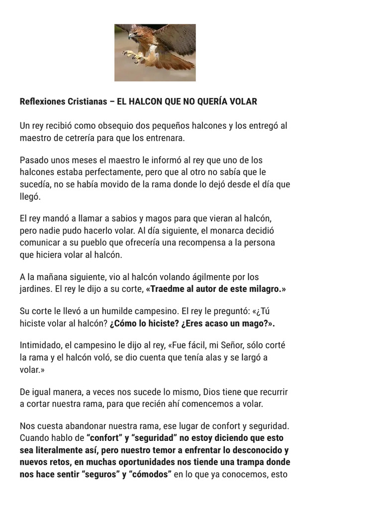 El Halcón y el Valor de Volar | PDF