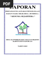 Rancangan Ad Art Bumdes 2025-2029 | PDF