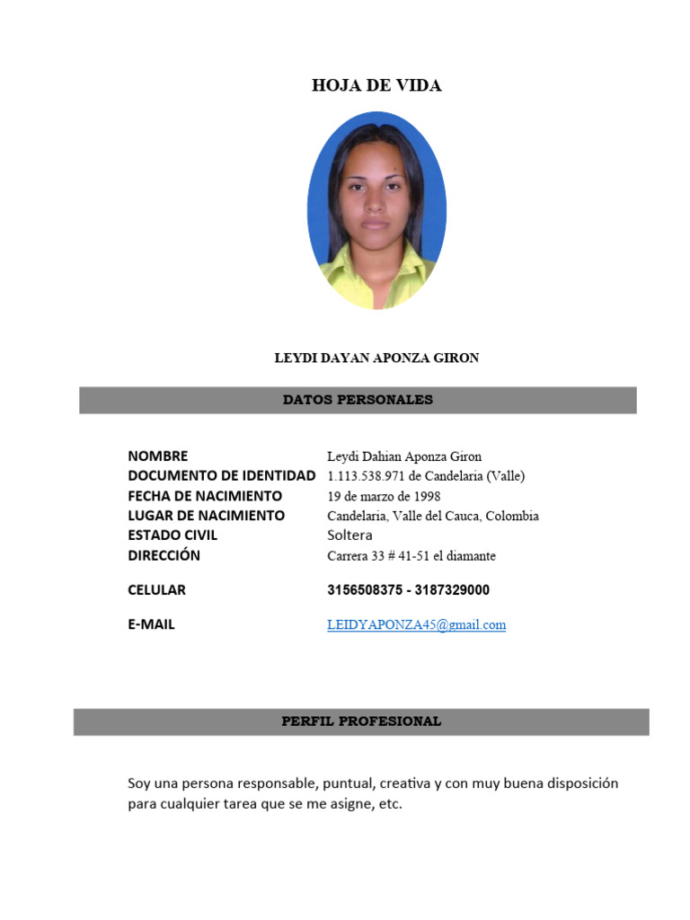 Formato Hoja de Vida LEIDY | PDF