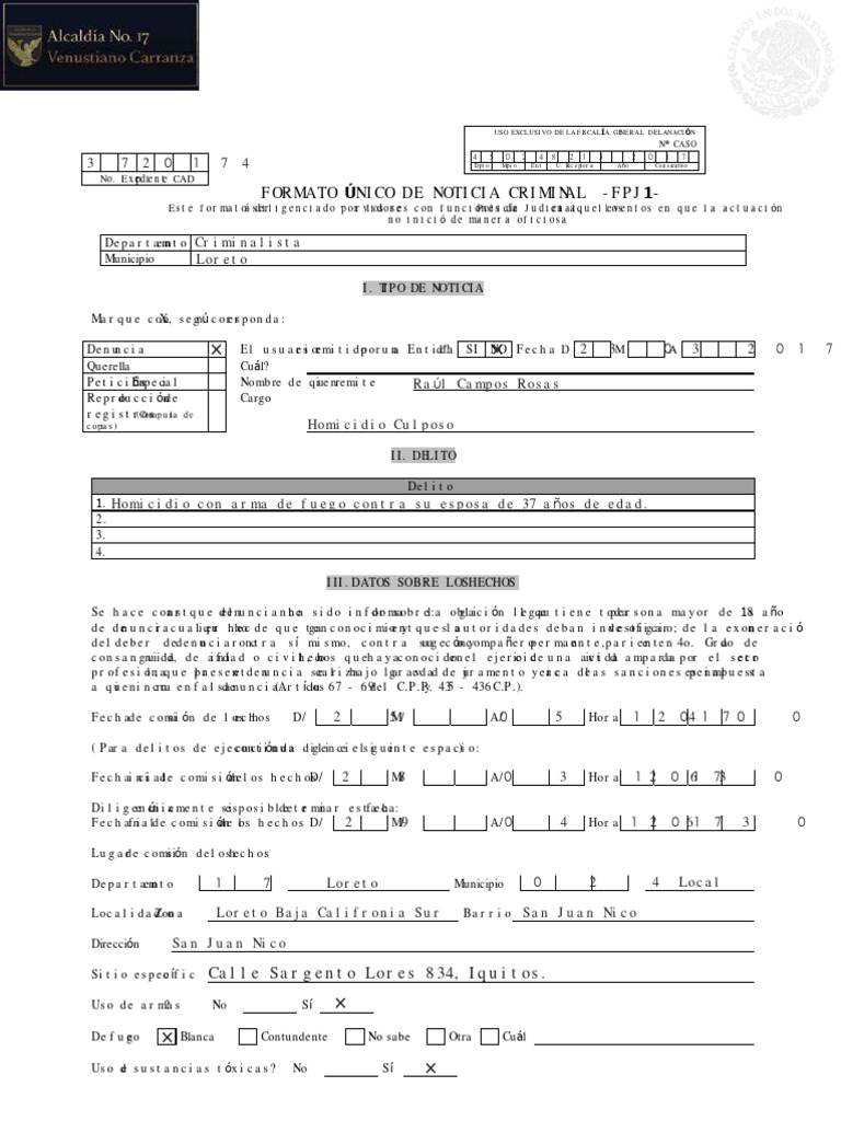 Formatos judiciales carta 2 | PDF | Documento de identidad | México