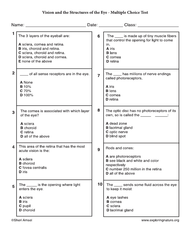 Eyes Quiz | PDF