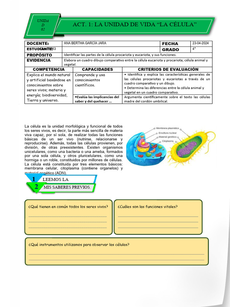 A-4º Act 1-Cyt-Und 2 - Sem 1 | PDF | Biología Celular) | Eucariotas